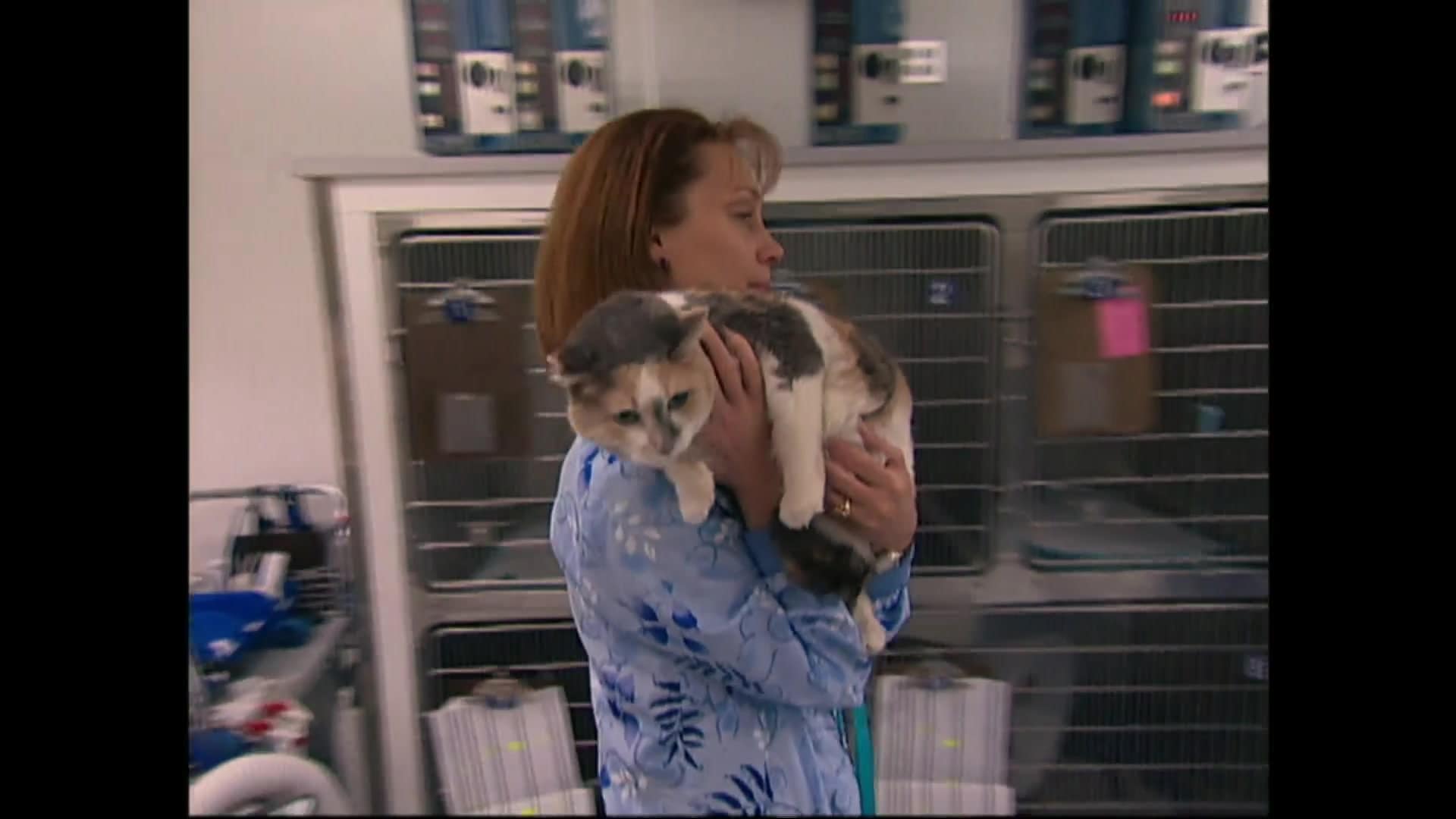 Emergency Vets | S9:E2 | Teamwork