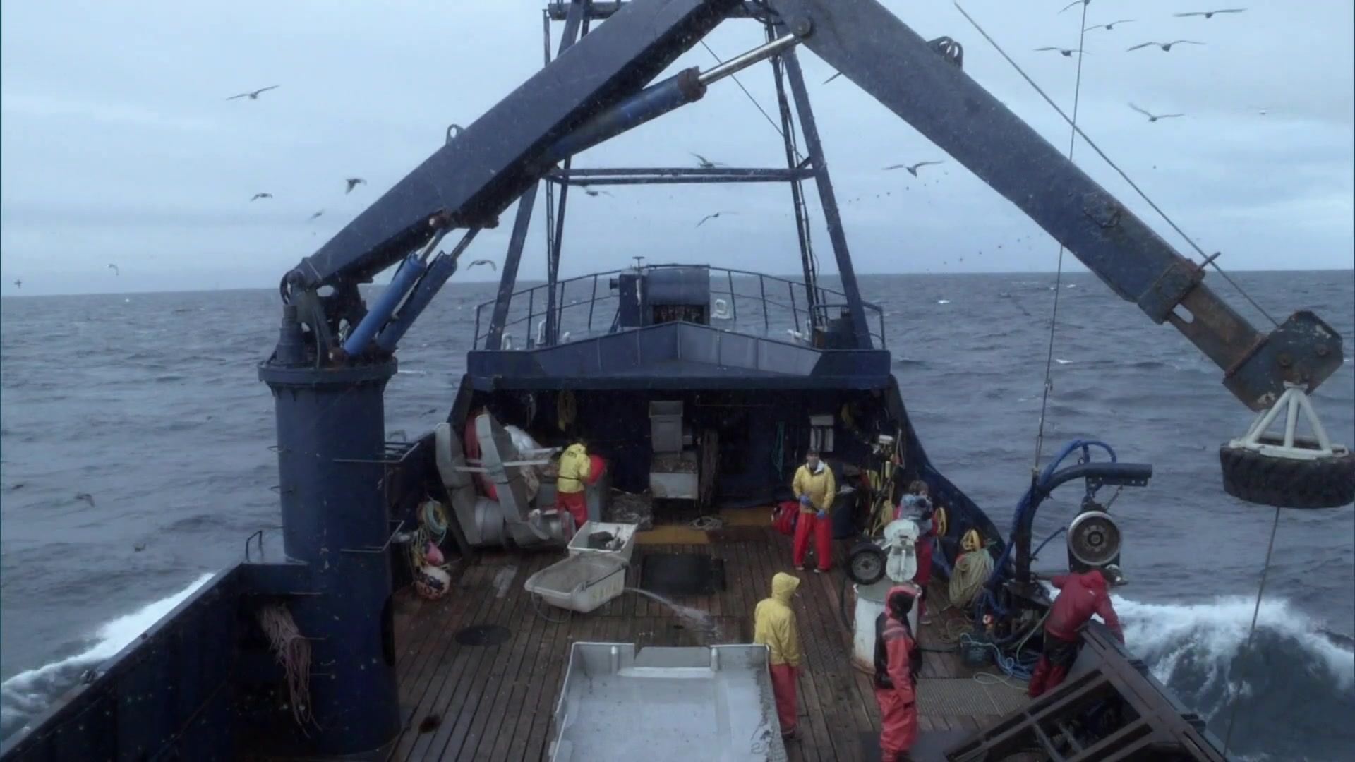 Deadliest Catch | S12:E18 | On Deck: First Timers