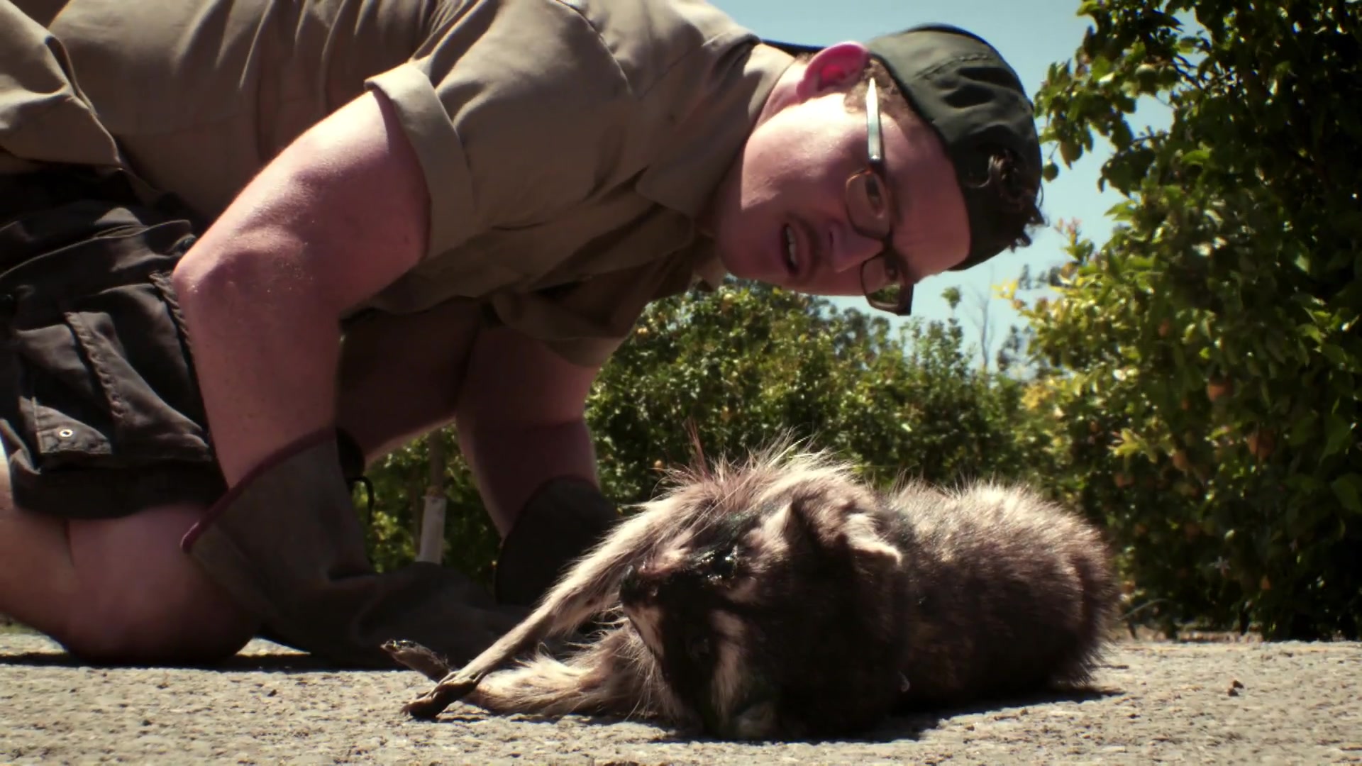 Dexter | S5:E2 | Hello Bandit