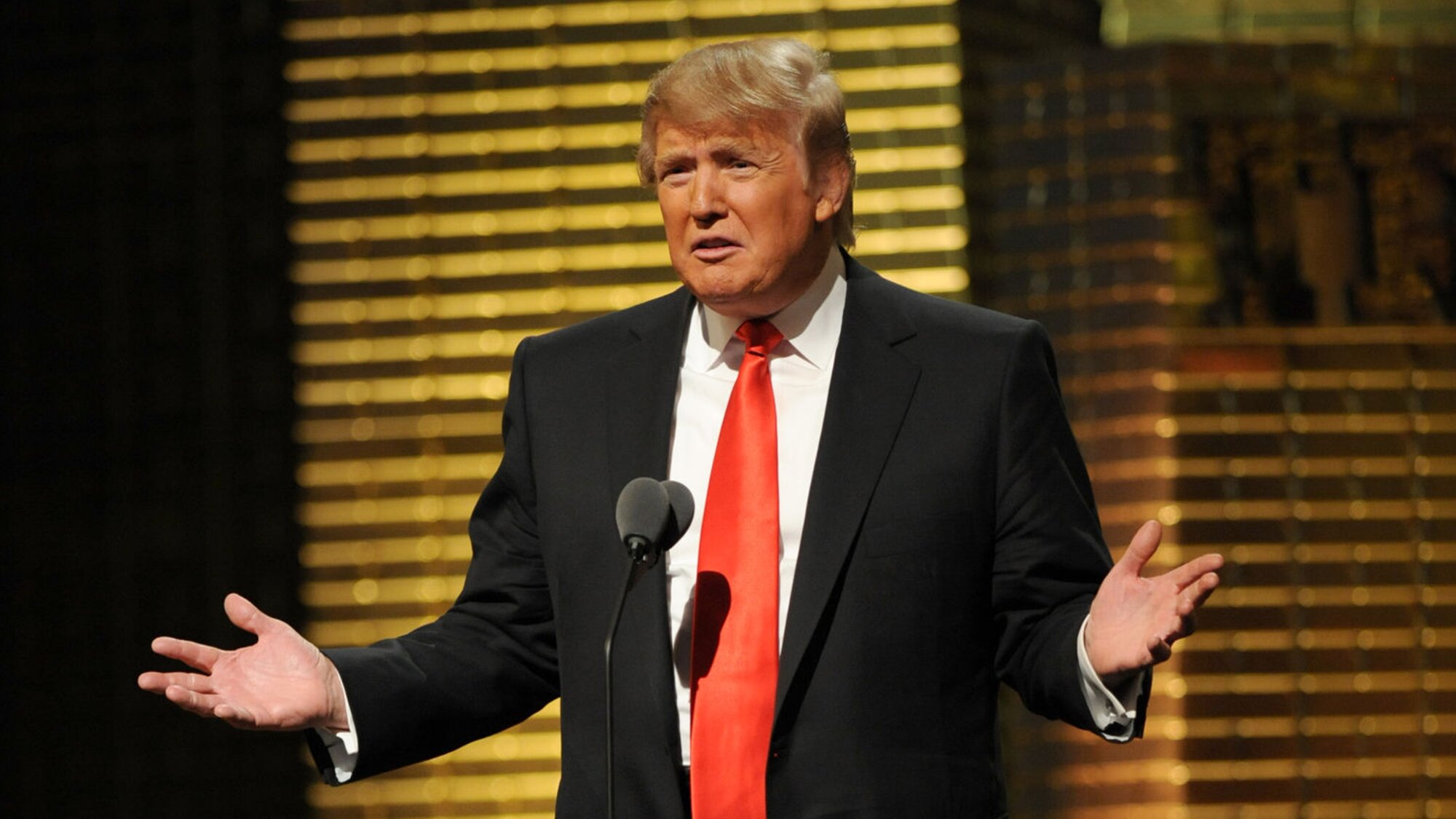 Donald Trump Tv Shows And Movies
