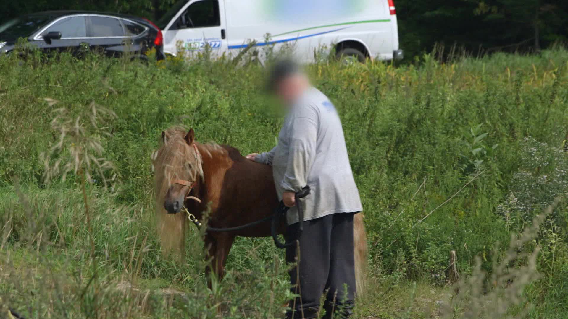 SPCA en action | S2:E5 | Albert, Anna et les chats