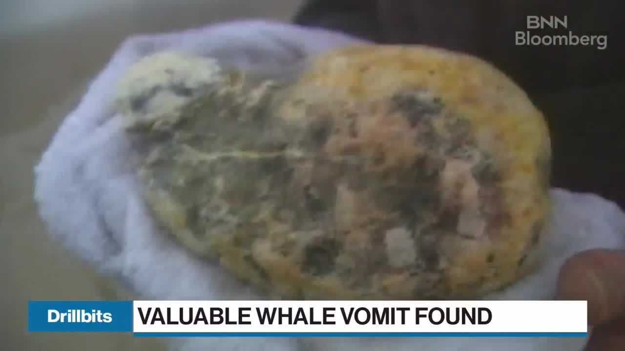 Drillbits: Scavenger finds lump of 'whale vomit'; Germany limiting ...