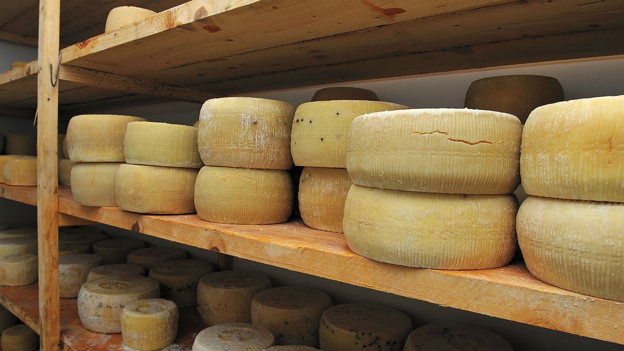 Brian Acker discusses Saputo - Video - BNN