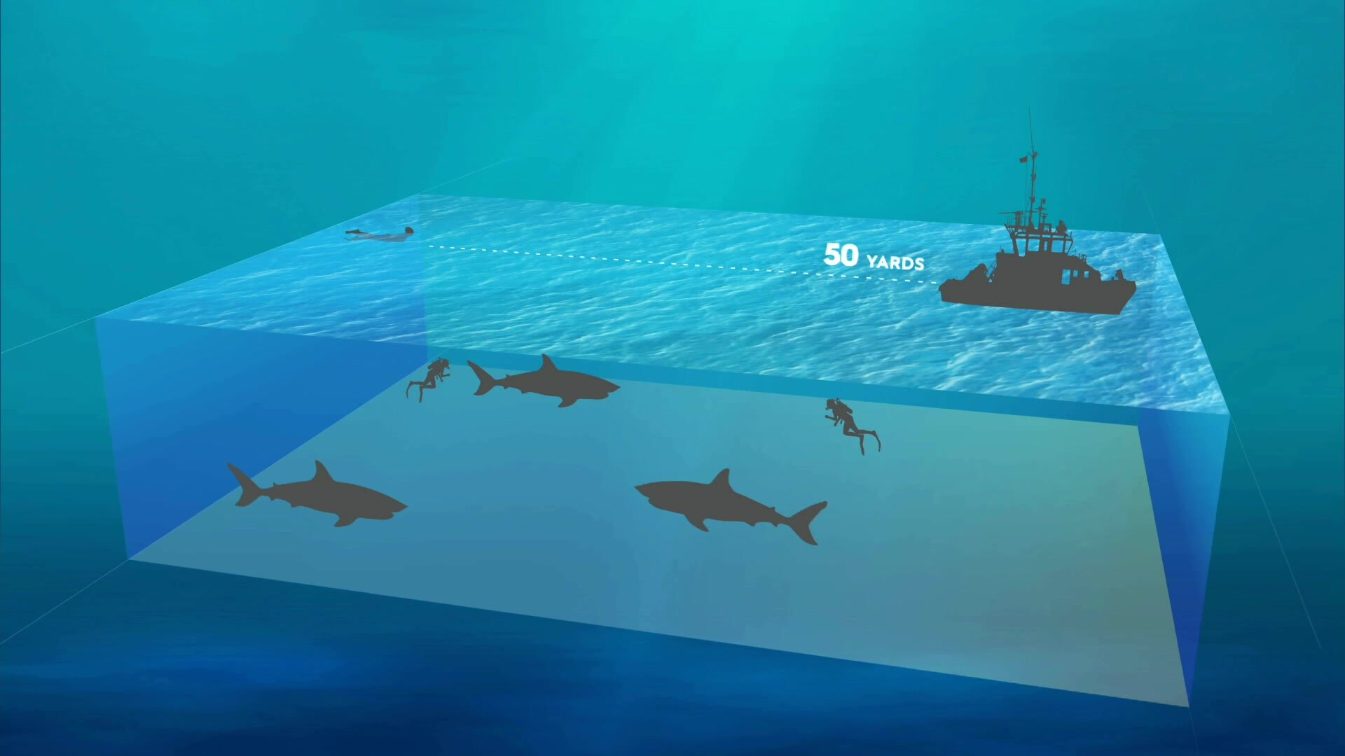 Laws of Jaws - Dangerous Waters: Sharkmania