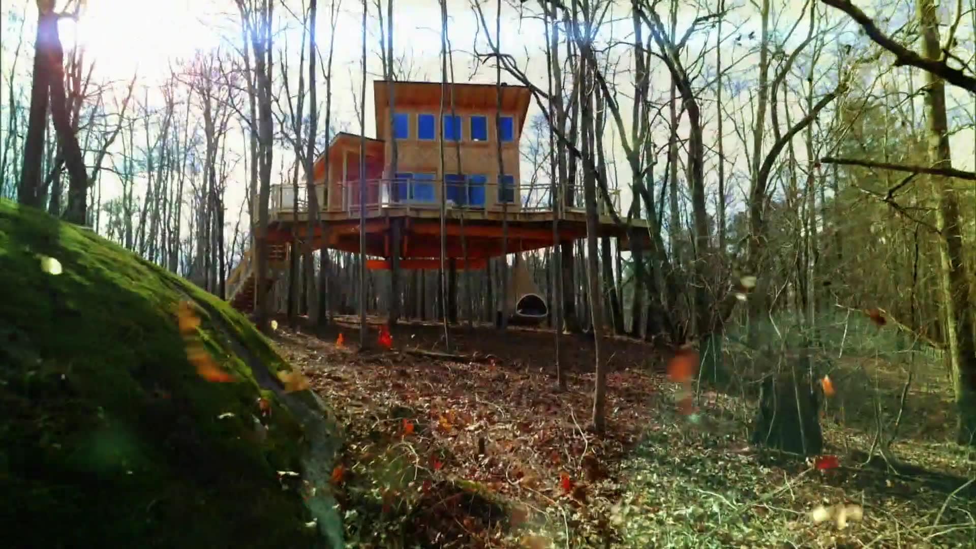 A Treehouse Production