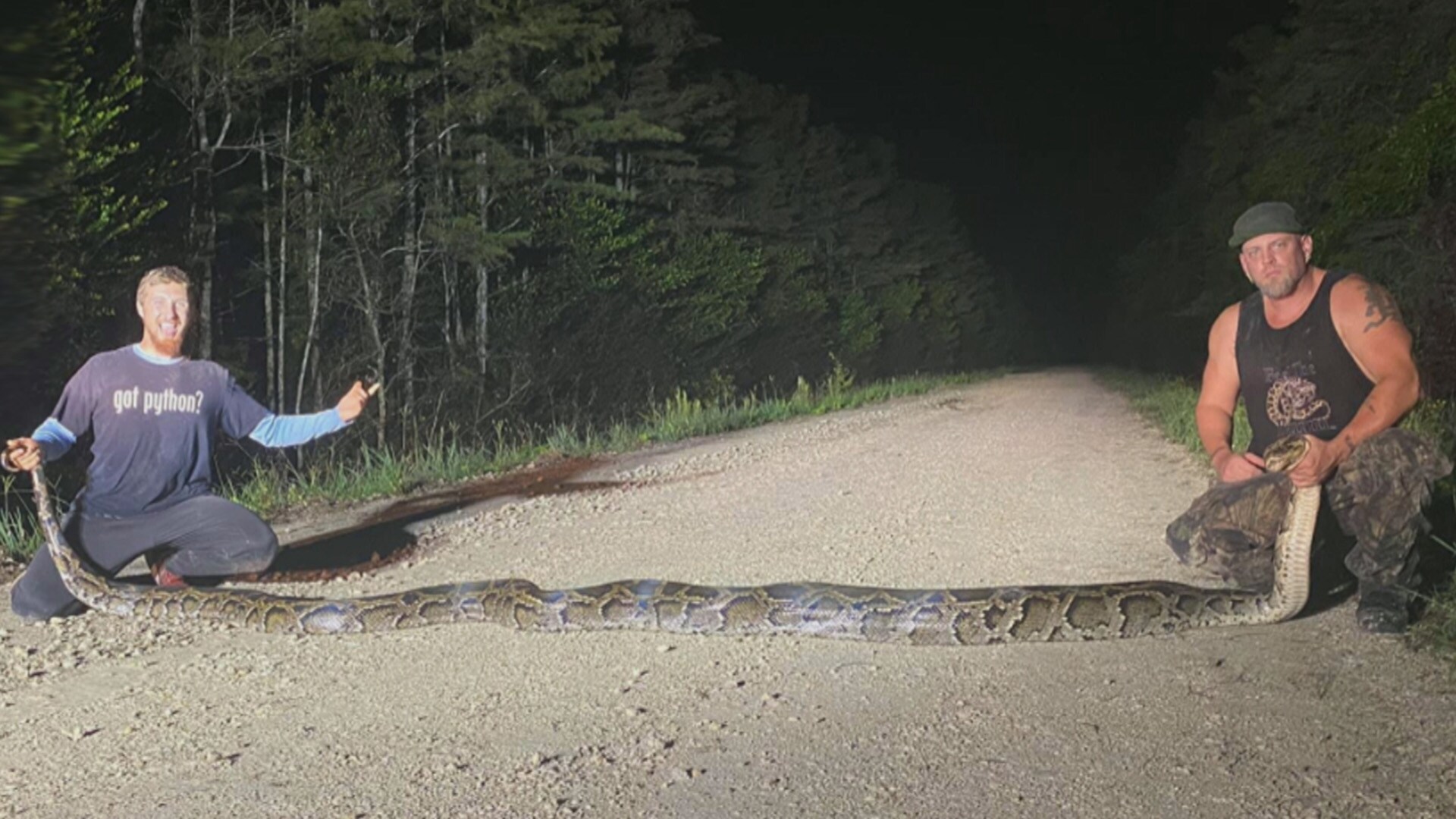 CTV Your Morning | S5:E38 | Watch these guys wrestle and capture a massive Burmese Python in Florida