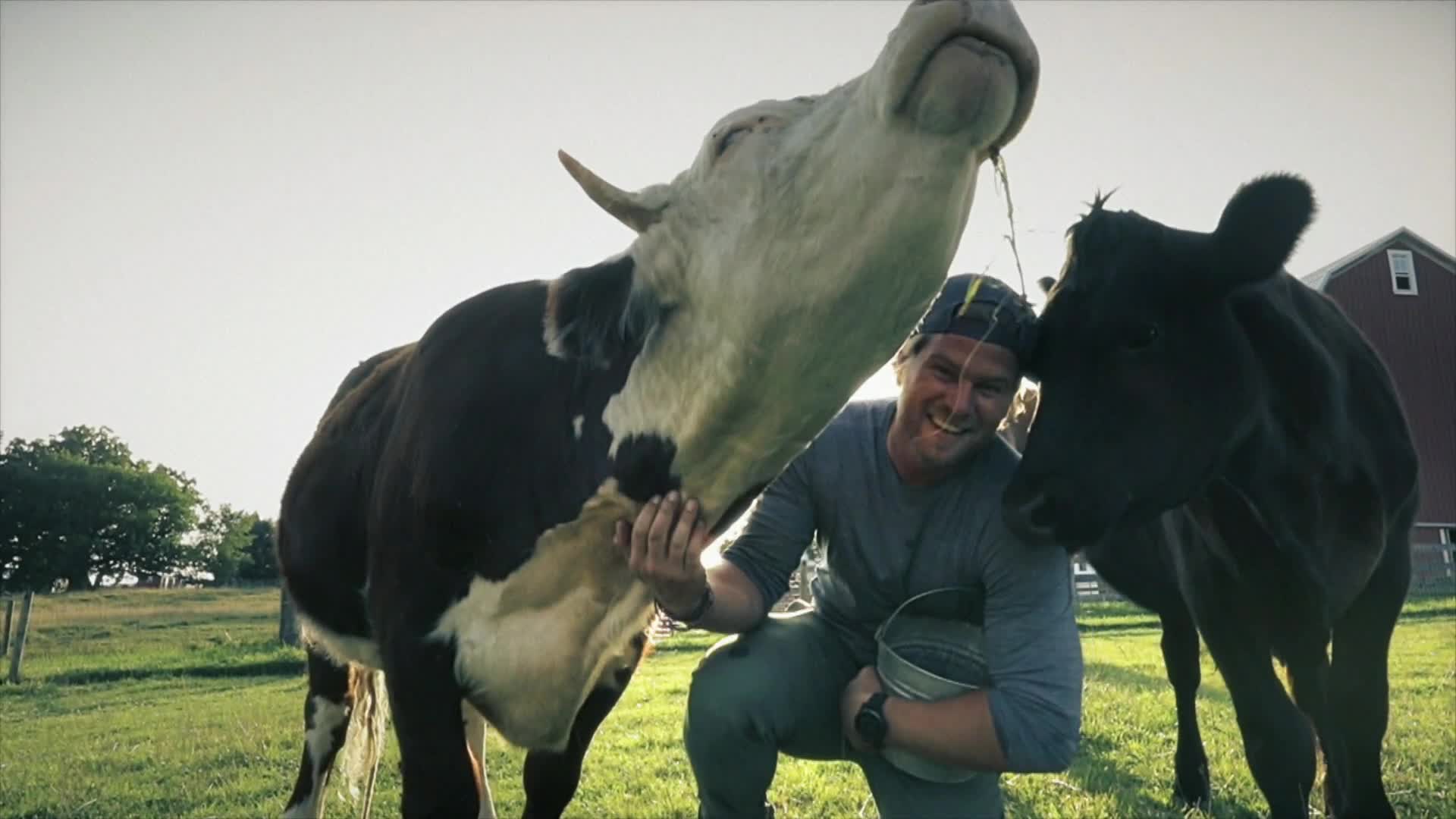 Saved By The Barn | S1:E11 | Hog Chase Rescue