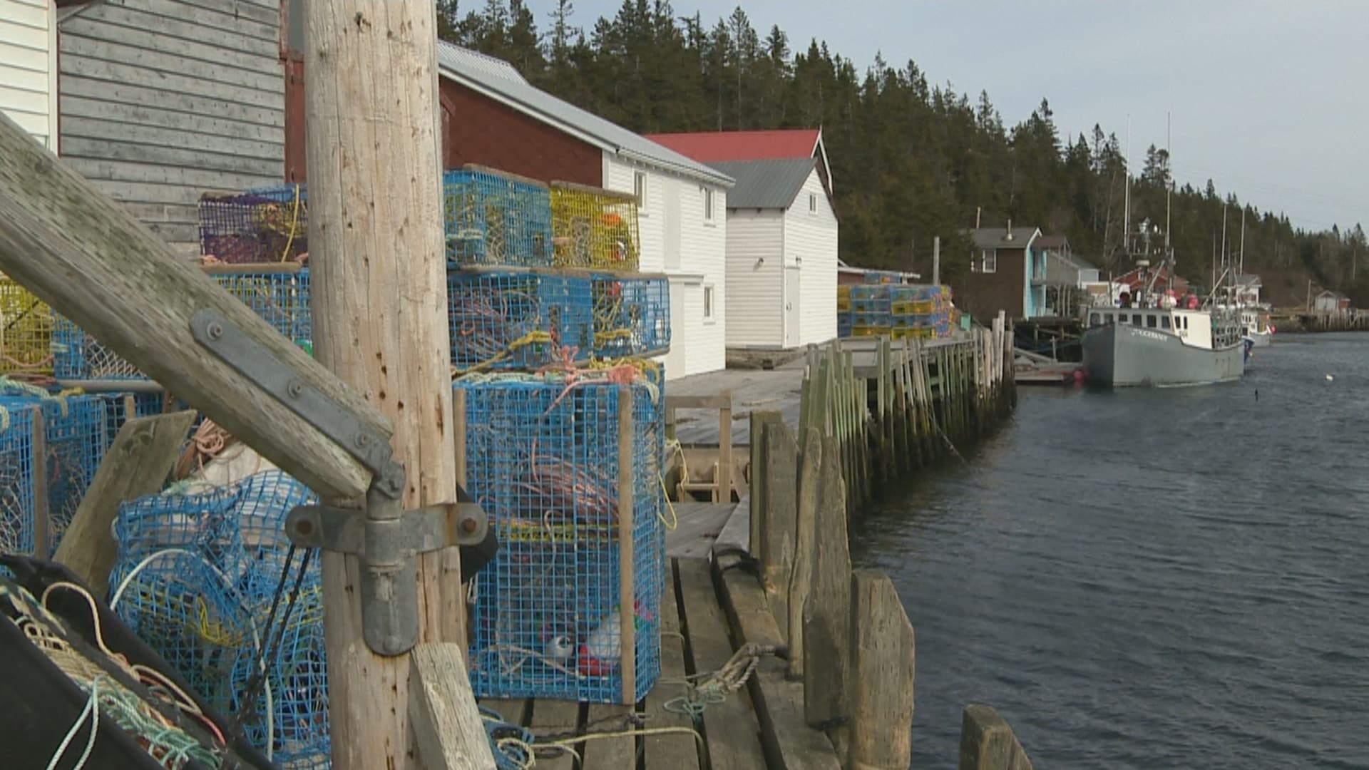 CTV Your Morning | Nova Scotia lobster fishing season set to begin tomorrow