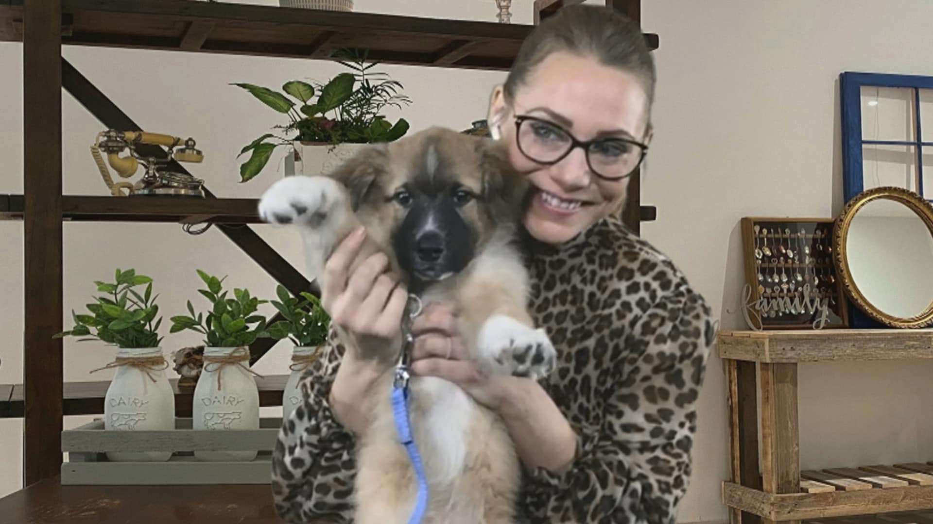 CTV Your Morning | S5:E83 | Kelsey reveals her new puppy and our hosts ...