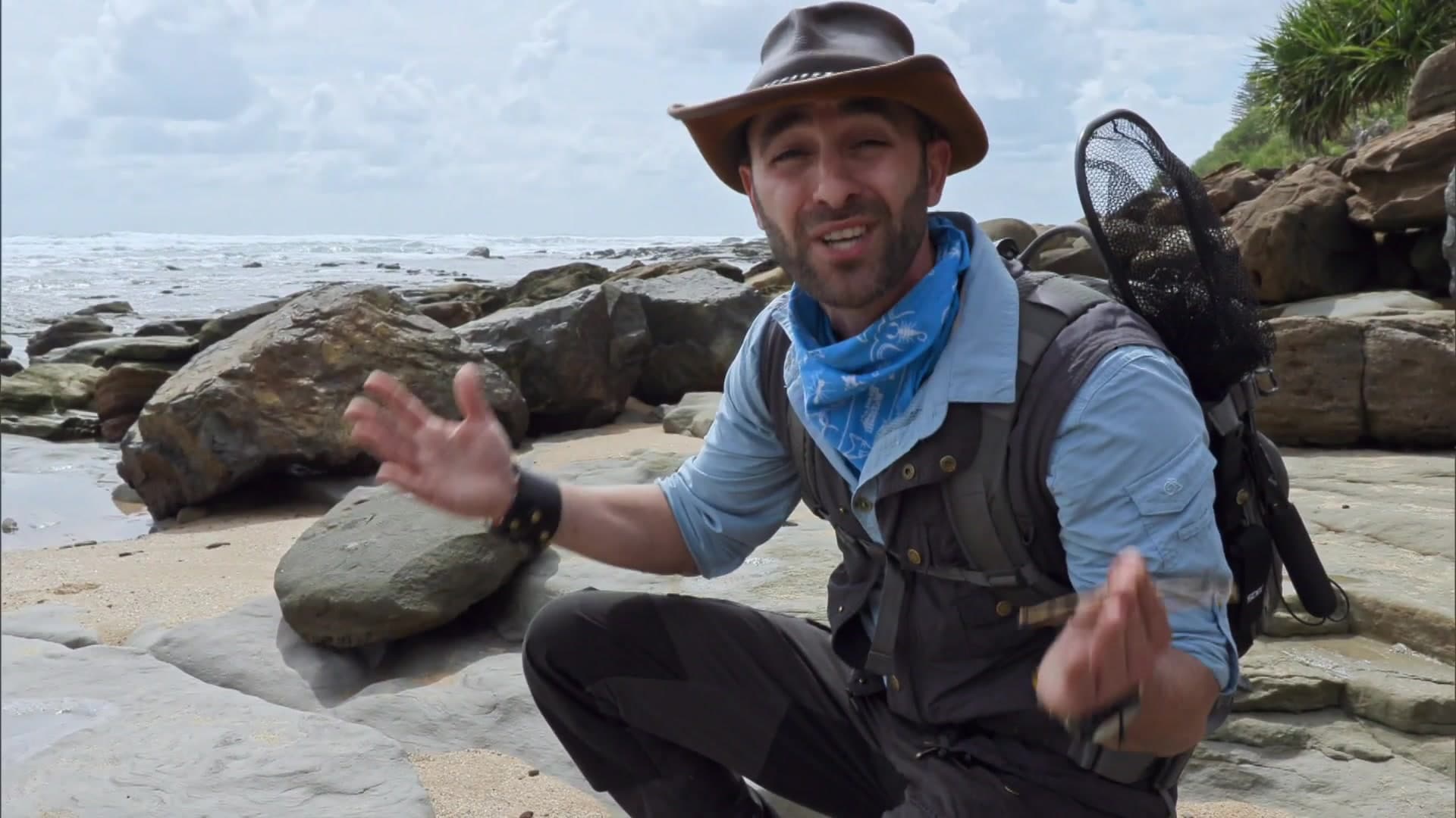 First Look | S1:E1 | Coyote Peterson: Brave the Wild