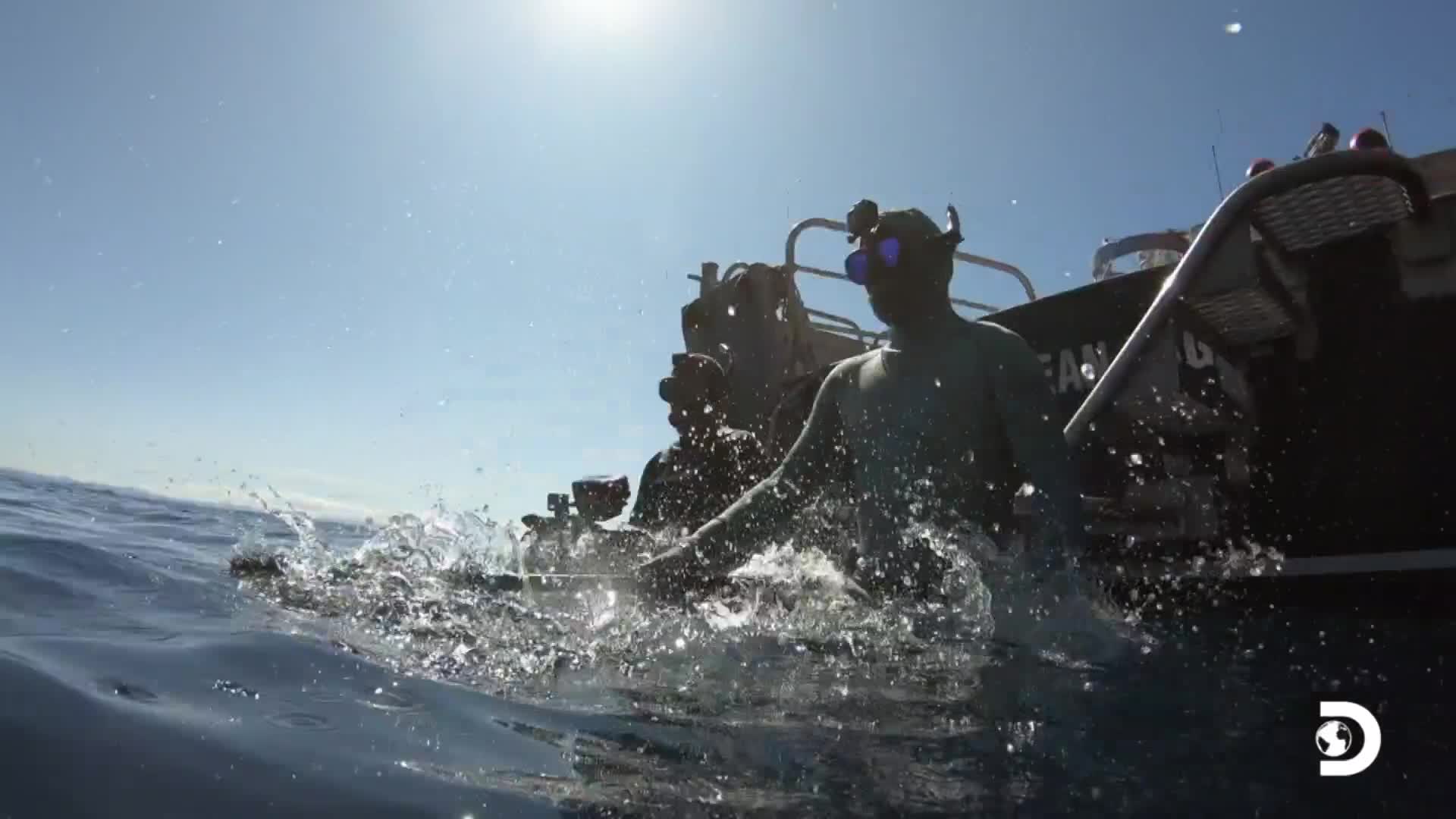 Mako Nation Sneak Peek