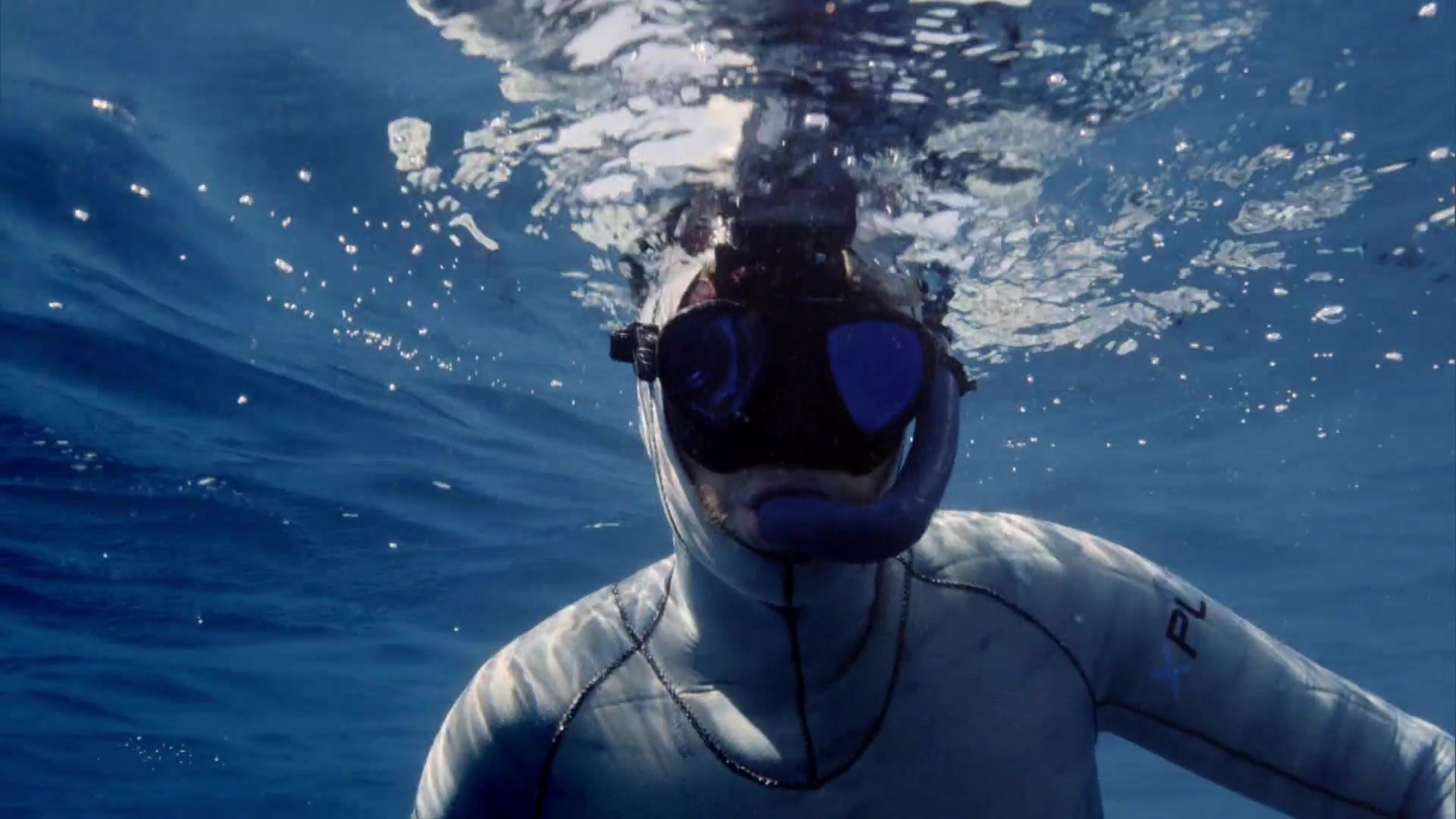 Shark Week | S32:E15 | Mako Nation | CTV