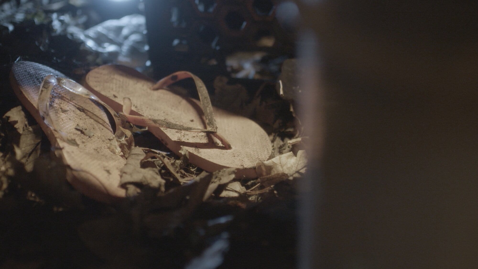 Elizabeth Shoaf : la fille du bunker