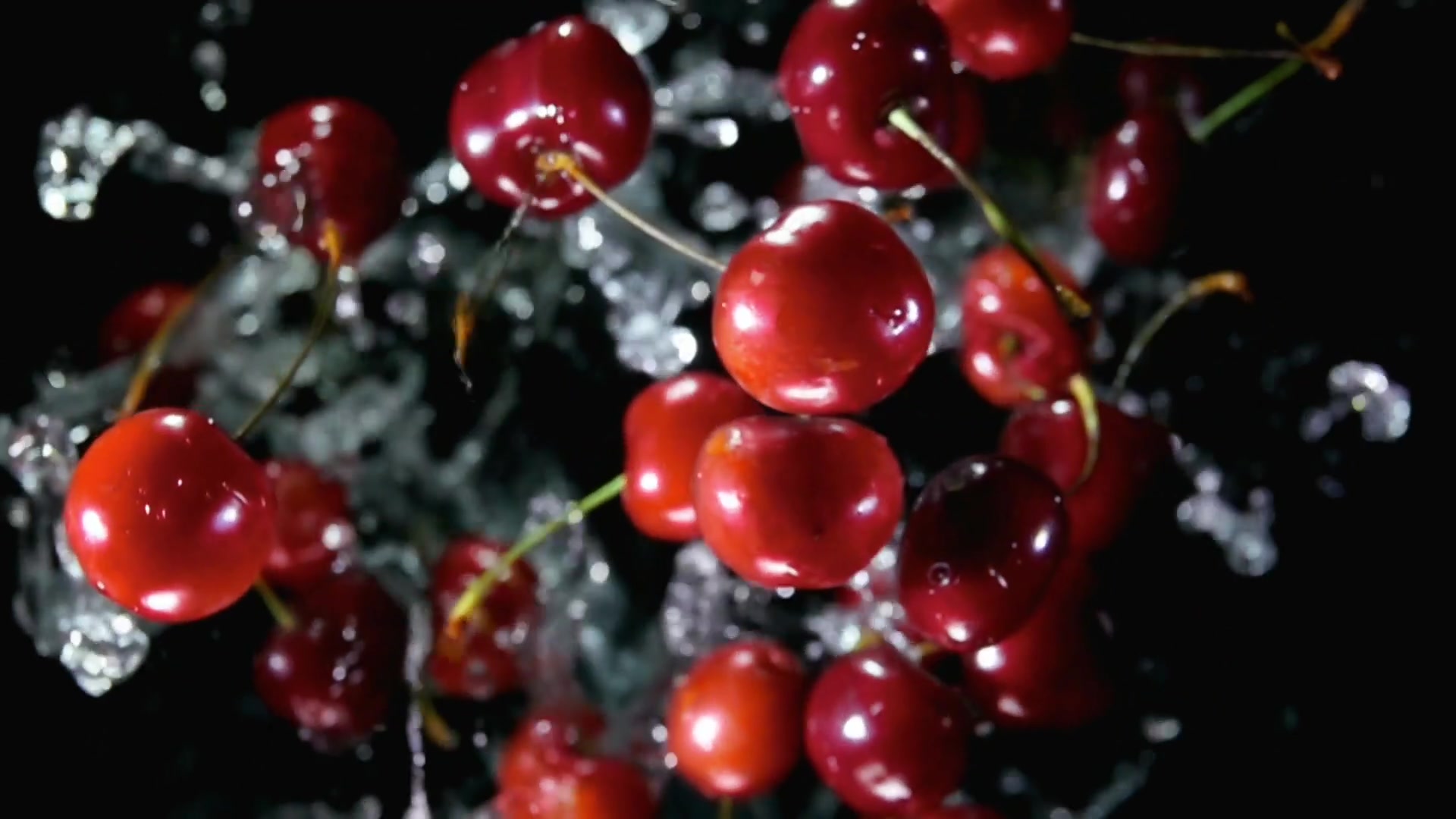 High Proof Cherry Bounce