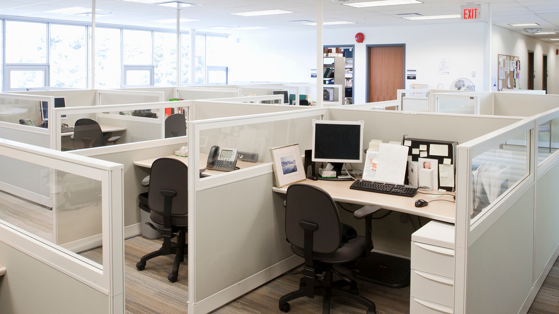 CTV Your Morning | How has the pandemic changed the future of office work?