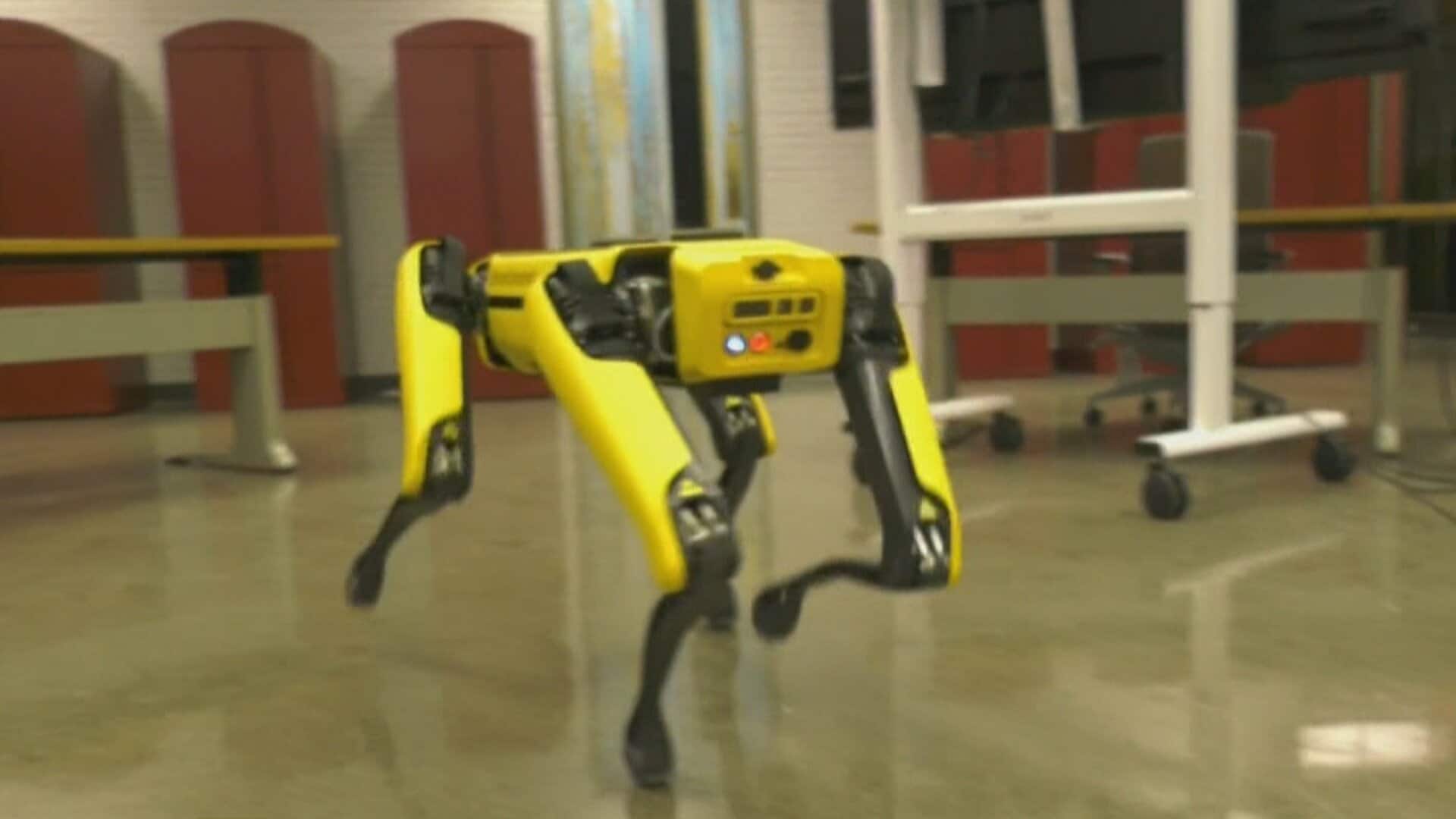 CTV Your Morning | Futuristic robo-dog in training to help humans with ...