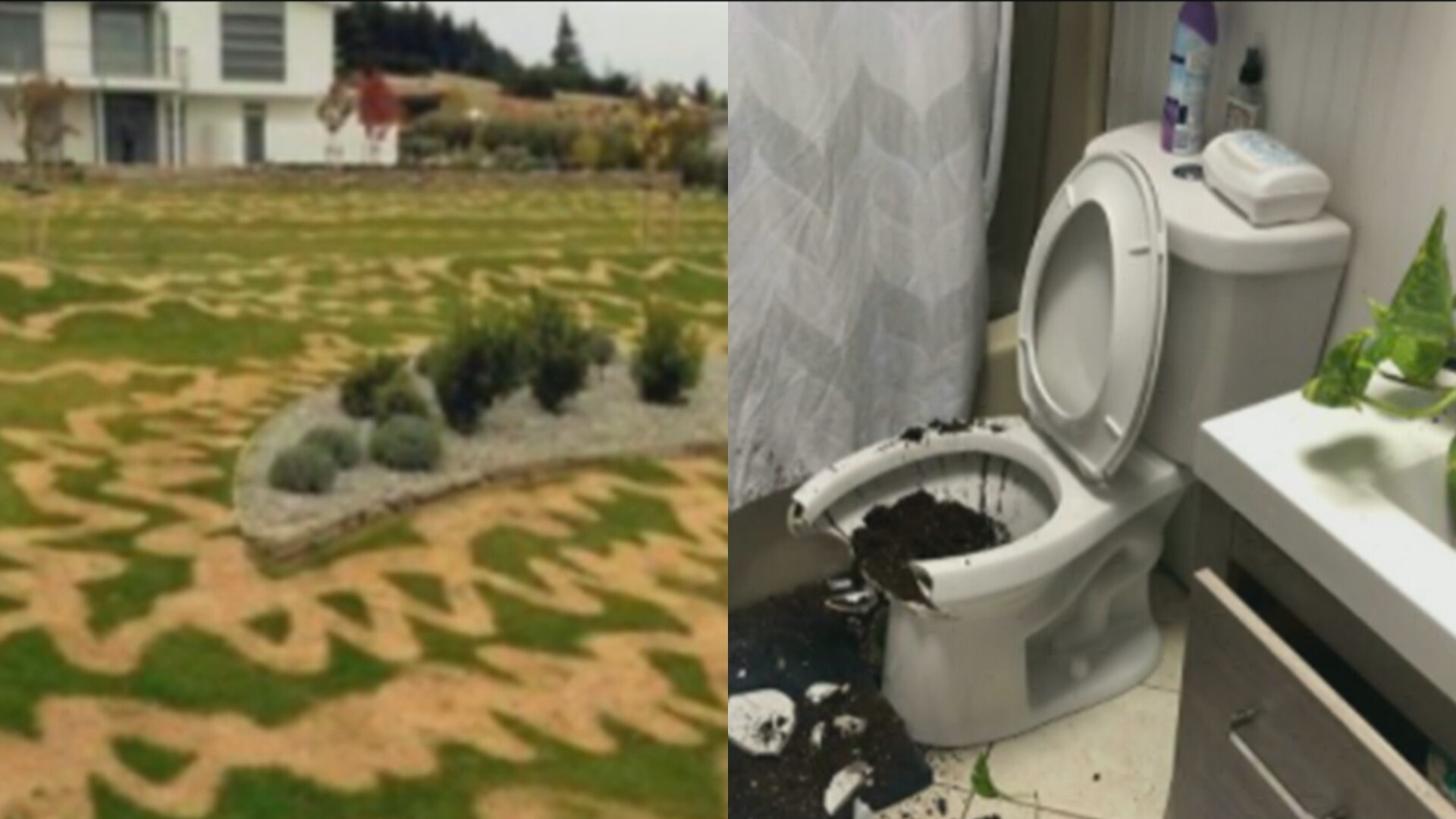 CTV Your Morning | These epic home fails had our hosts cringing