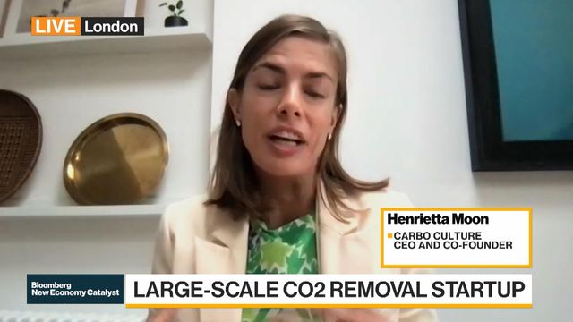 Henrietta Moon Carbo Culture & the Future of Biocarbons - Video - BNN
