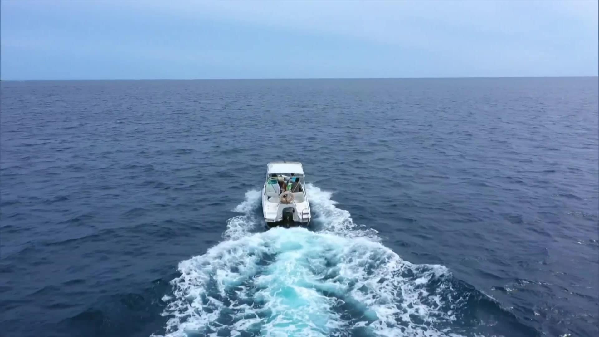 Chasing Ocean Giants | S1:E6 | Manta Ray Tornado