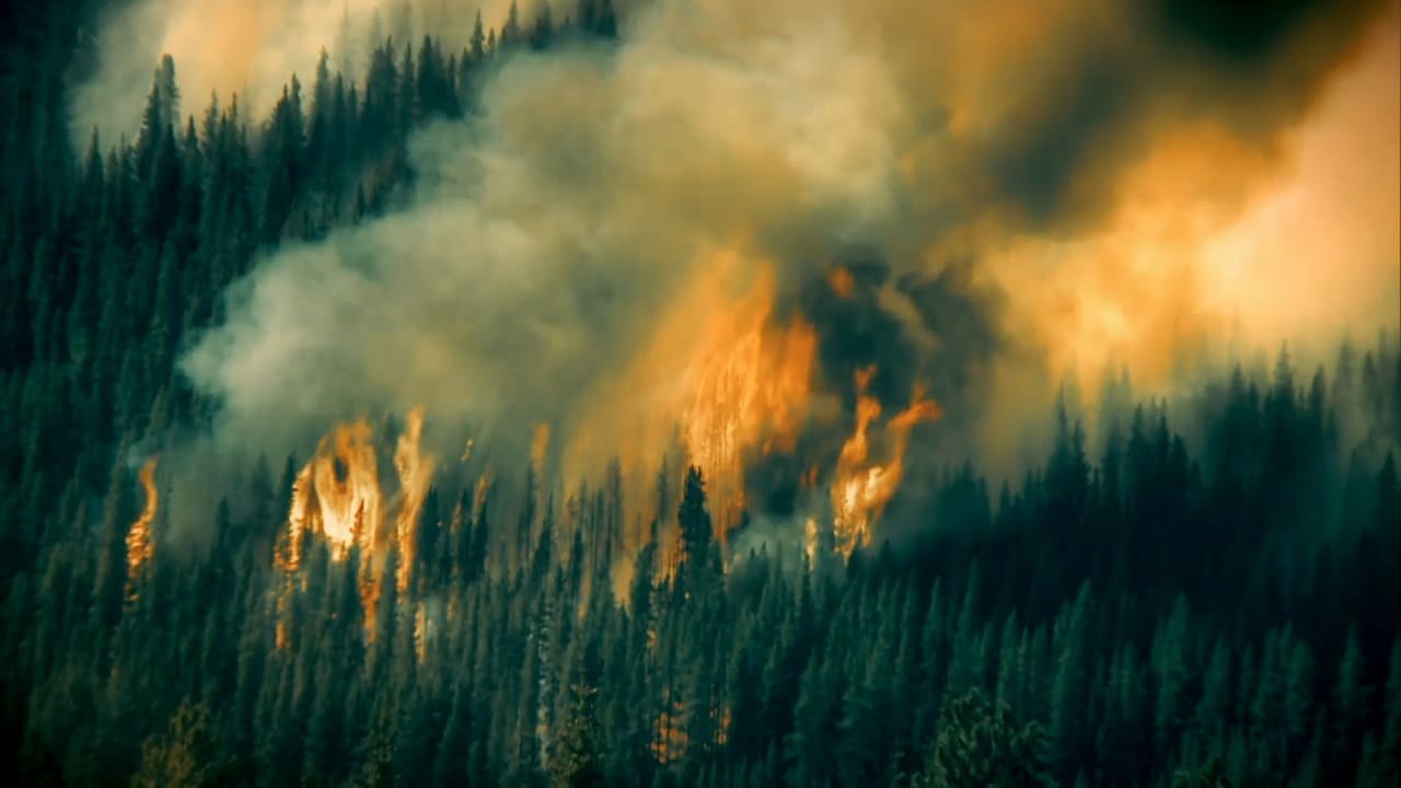 Homestead Rescue | S2:E2 | Honey I Torched the Homestead