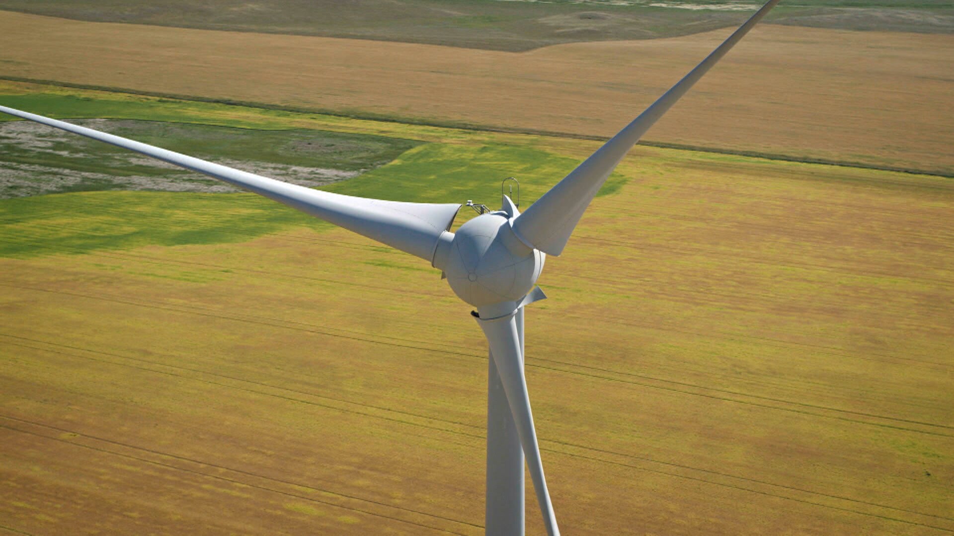 High Maintenance | S1:E6 | Confederation Bridge; Wind Turbines