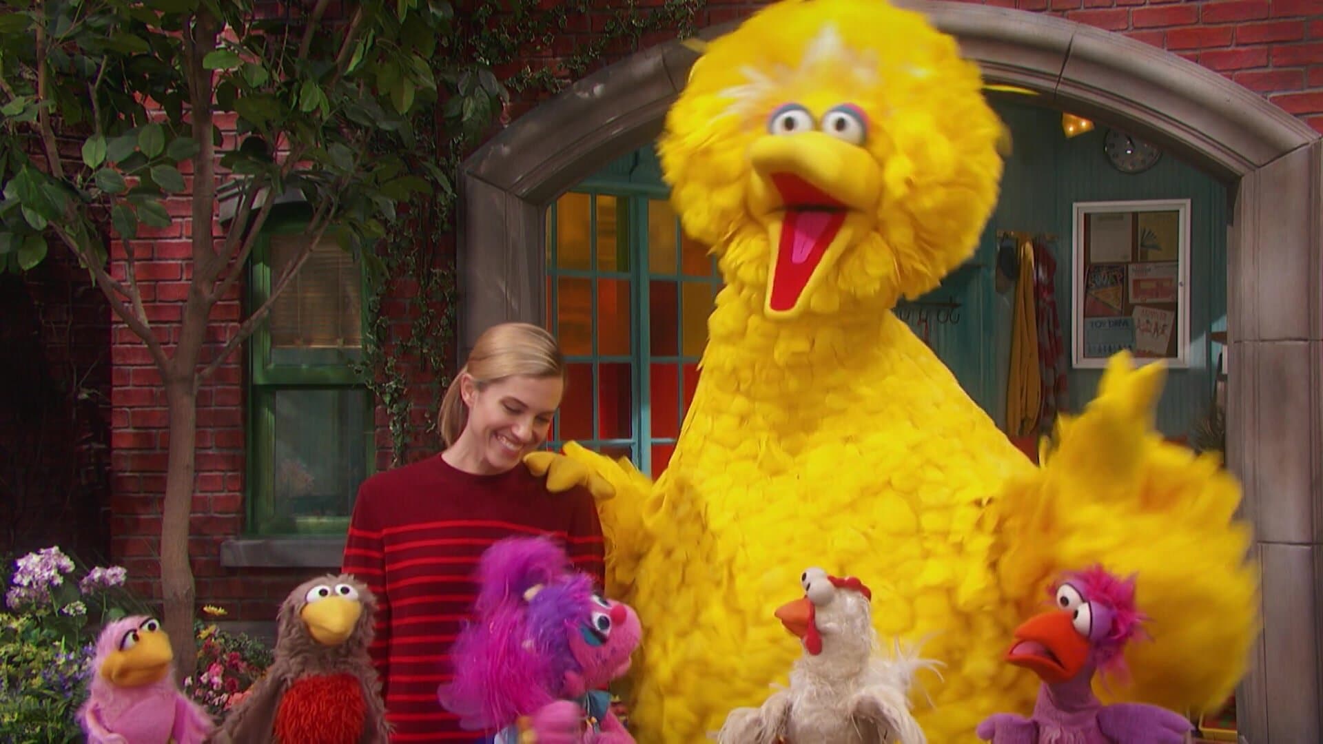 My Sesame Street Friends | S4:E7 | My Sesame Music: Dancing