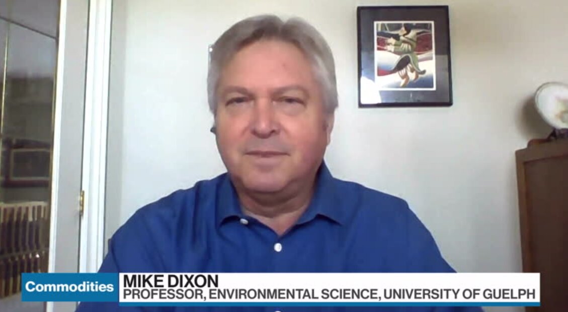 Barley is a candidate plant for the moon: Professor - Video - BNN