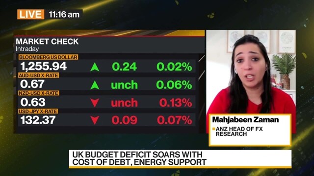Overvalued Dollar Remains for First Half of 2023: Zaman - Video - BNN