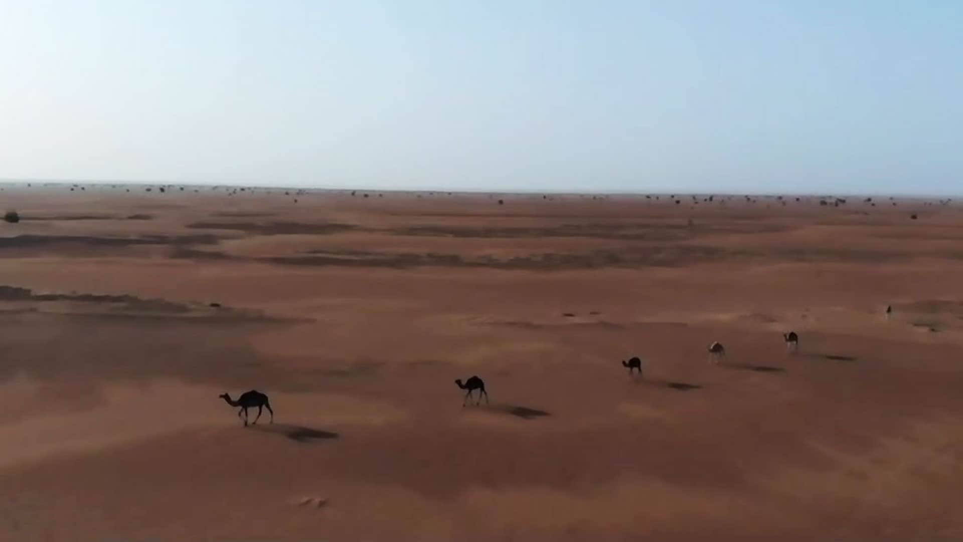 CTV Your Morning | S6:E187 | Scientists warn of looming sand shortage