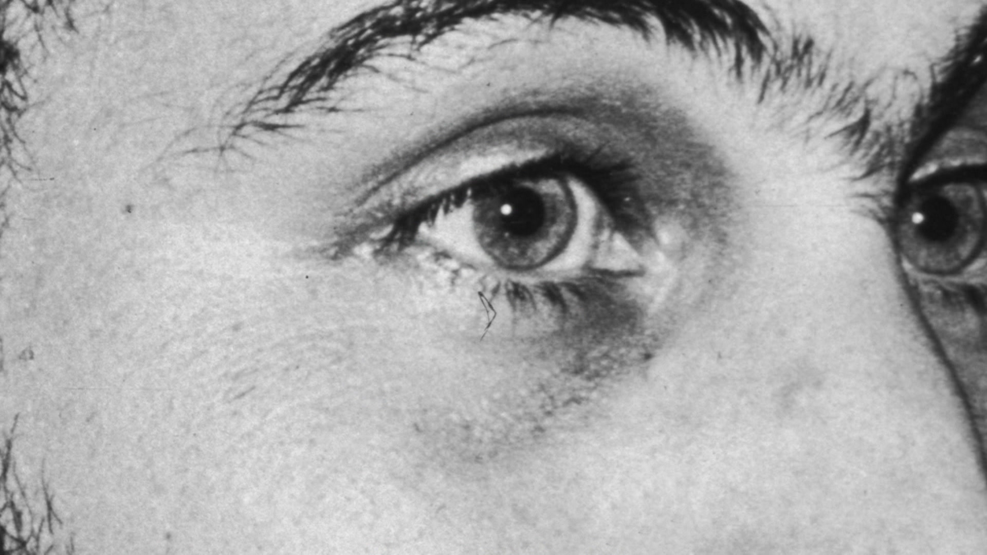 Very Scary People | S2:E1 | Son of Sam Part 1: The Duke of Death