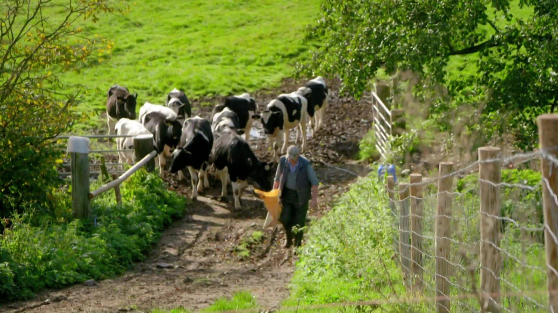 Born Mucky: Life On The Farm | S2:E2 | Put To The Test