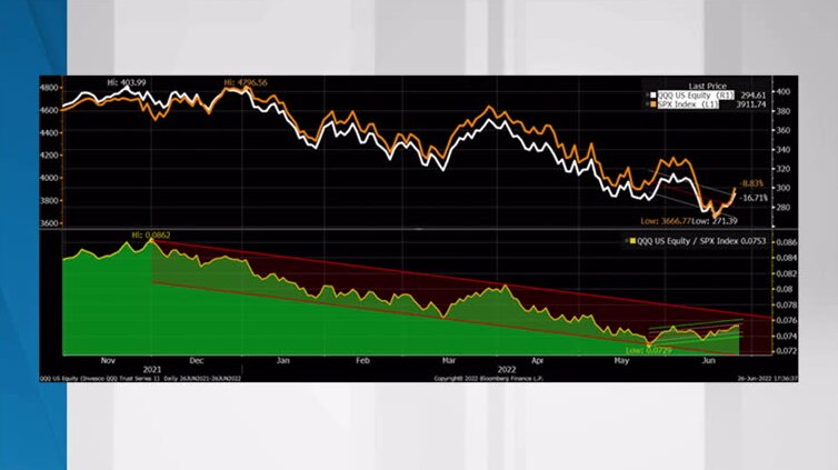 Larry Berman's Educational Segment - Video - BNN