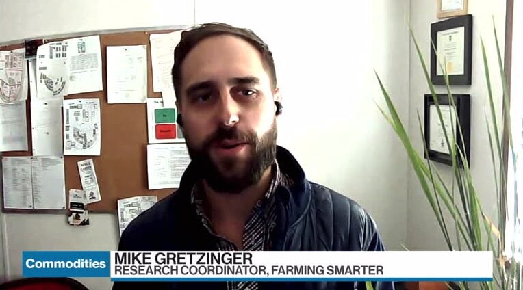 Experimenting with growing rice in Alberta: Innovation hub Farming ...