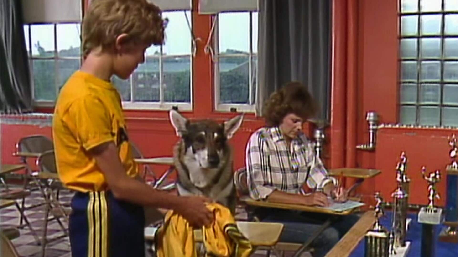 The Littlest Hobo | S6:E1 | Second Best | CTV