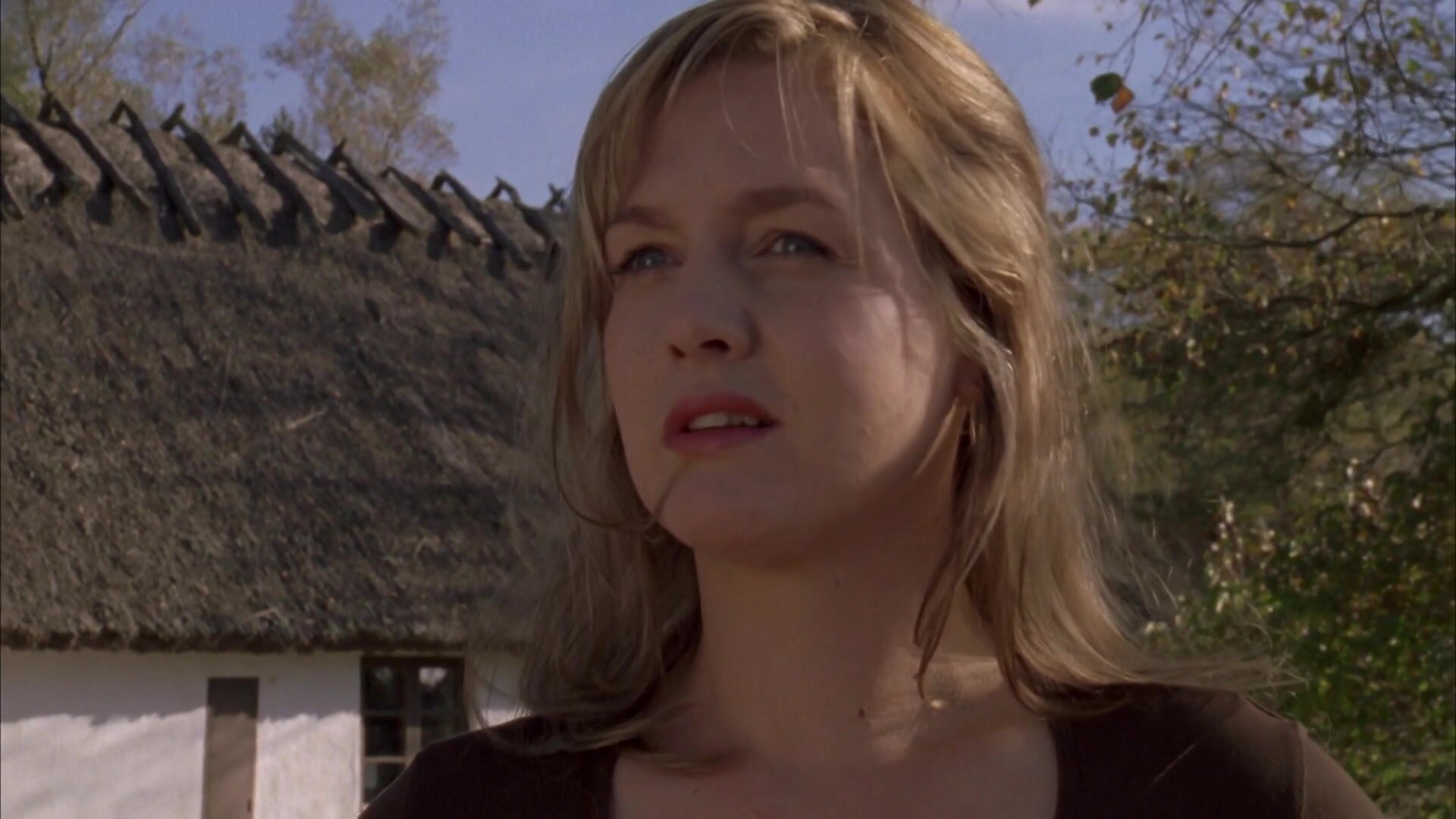 Wallander | S1:E8 | The Photographer