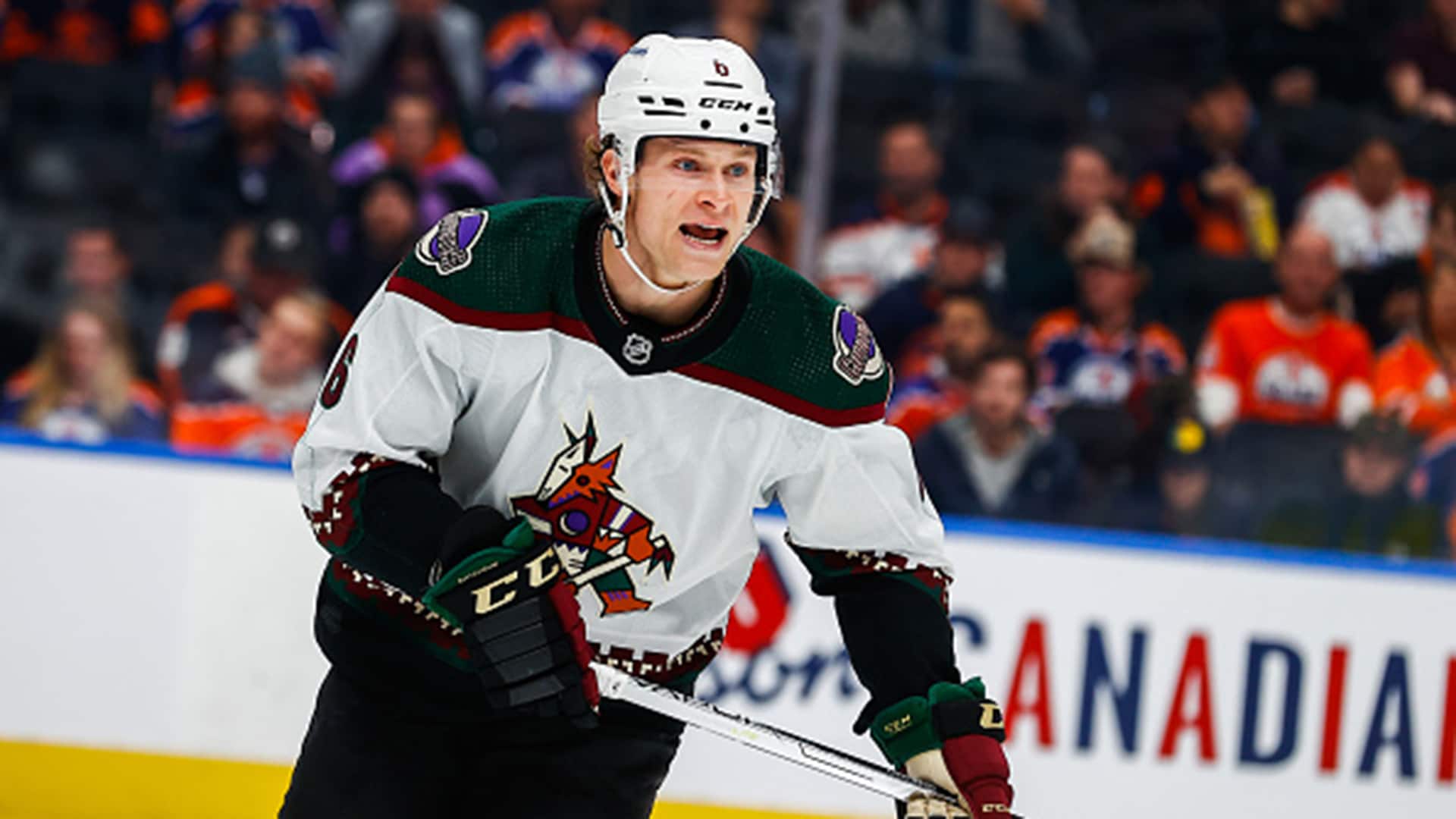 Right call to keep Chychrun out of the lineup by the Coyotes? - Video - TSN