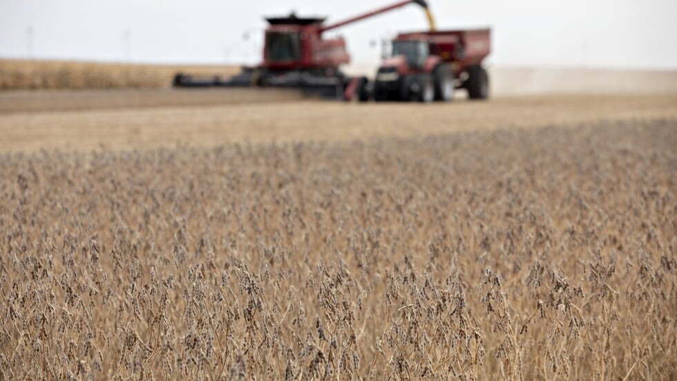 We're seeing very very expensive crops in 2023: FCC chief economist ...