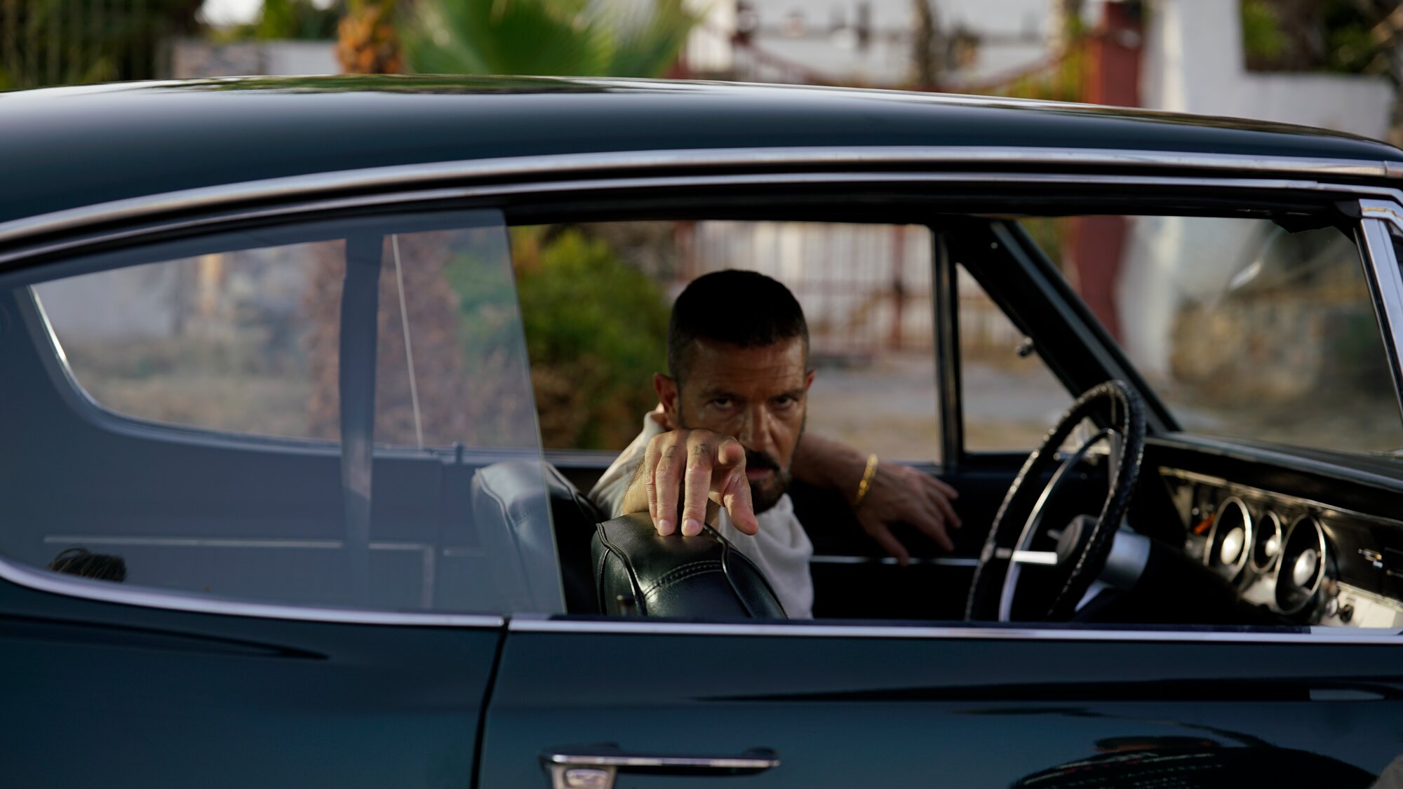 The Enforcer | Crave