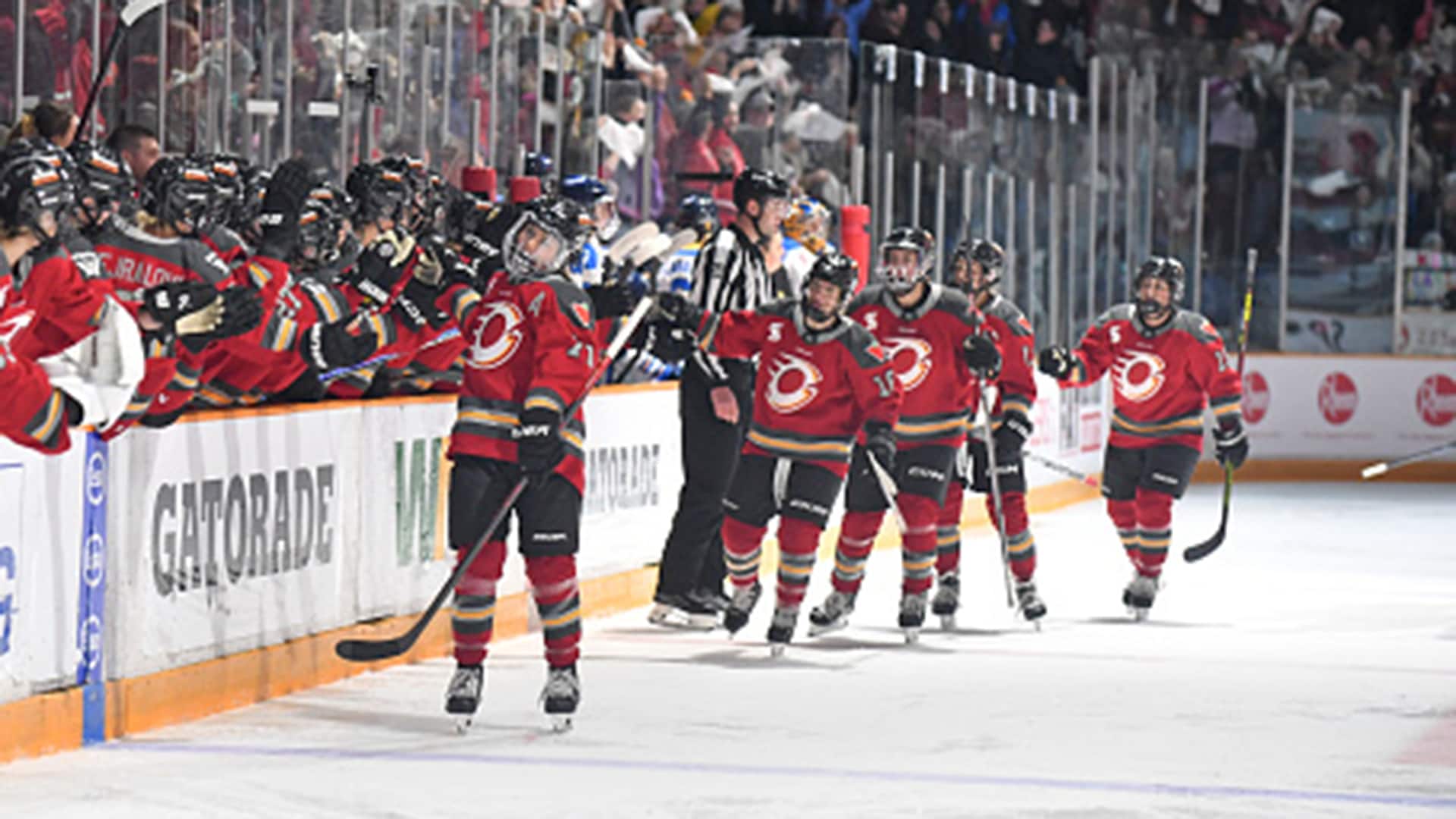 PWHL: Sceptres 2, Charge 3 - Video - TSN