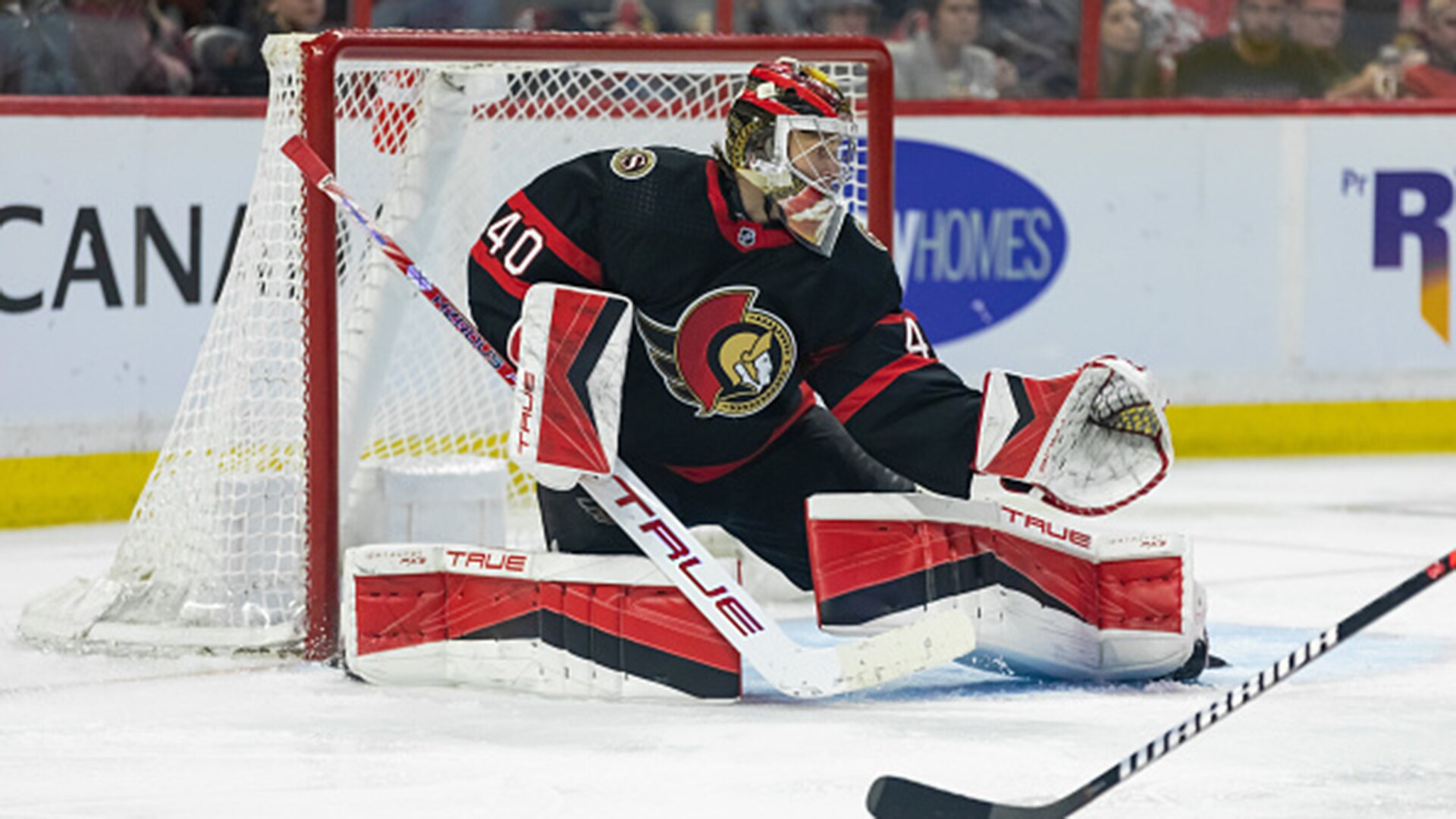 Sens Ice Chips: Martin feels call-up Sogaard gives Ottawa best chance ...
