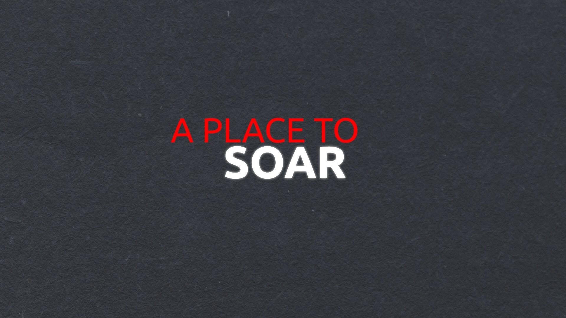 Emanuel Bou Lutfallah and Nicole Vespa have found a place to soar ...