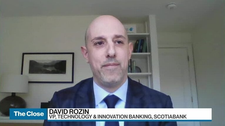 Expect more Canadian tech firms to be taken private: David Rozin ...